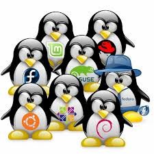 Baixar a Iso de Instalação :: Linux Um Sistema Operacional Incrível